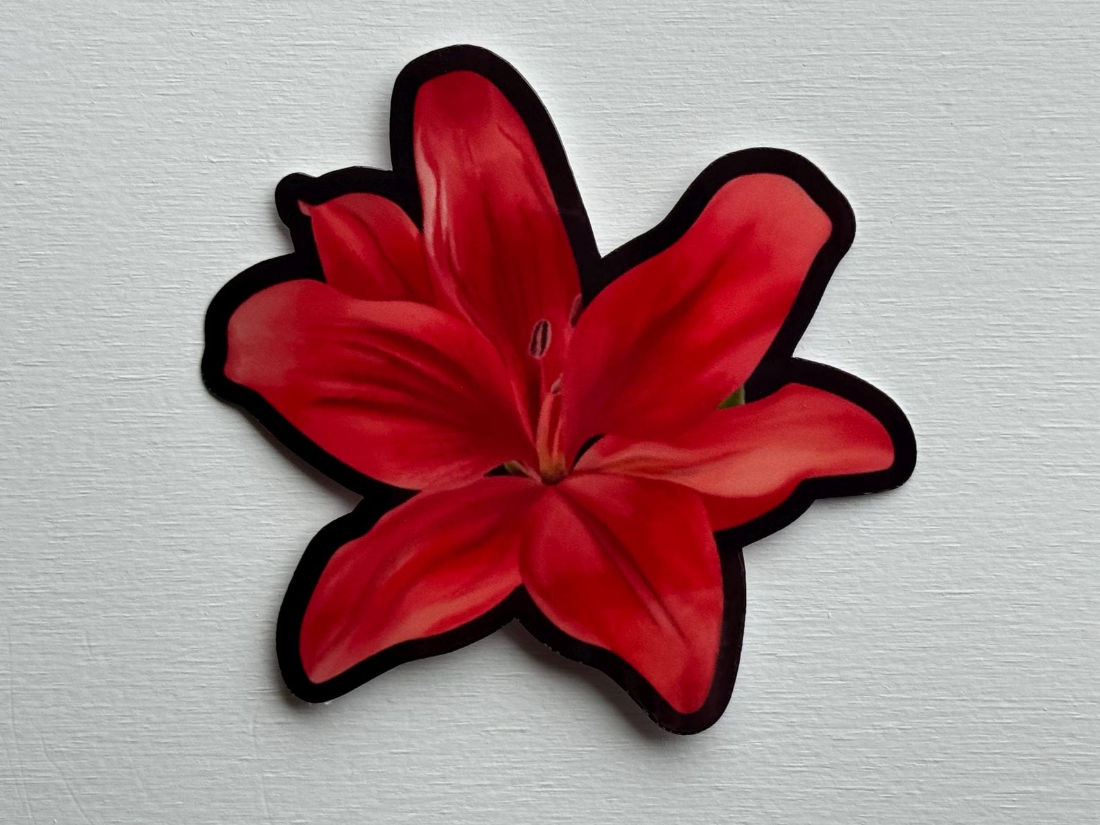 Lily Flower Illustrated Original Vinyl Sticker - Etsy