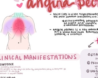 Coronary Artery Disease CAD- Nursing Notes/ Concept Map- Medical ...