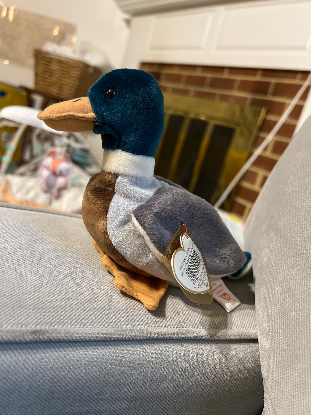 Jake Beanie Baby Original Multiple Errors Very Rare - Etsy