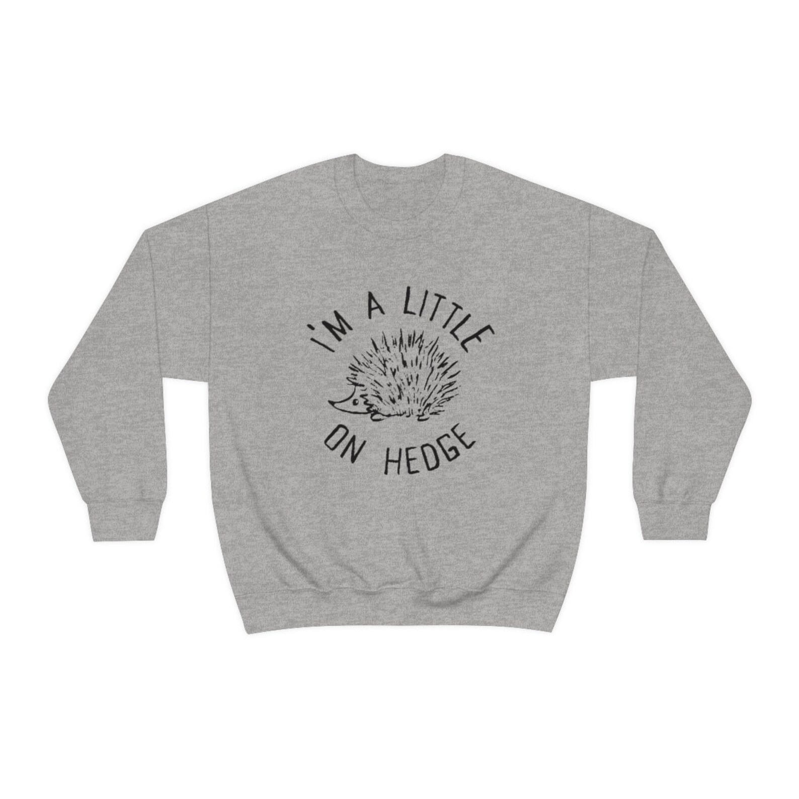 I'm A Little on Hedge Hedgehog Sweatshirt | Funny Sweatshirts | Cute ...