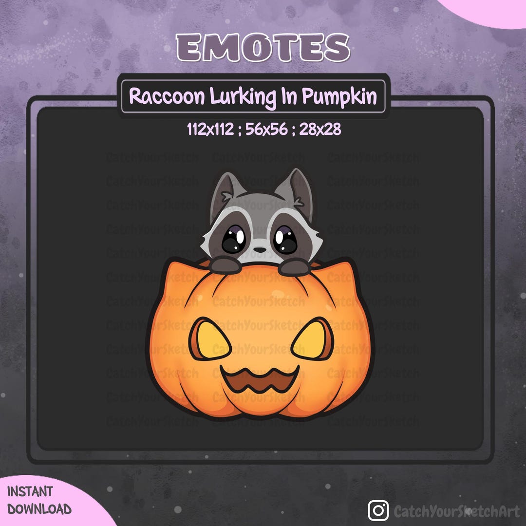 Cute Raccoon Lurking in Pumpkin Emote | Raccoon Emote Fall / Autumn ...