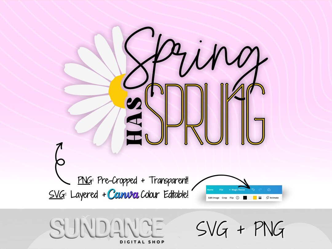 Spring Has Sprung SVG PNG Clipart Sublimation Design Tshirt Gifts ...