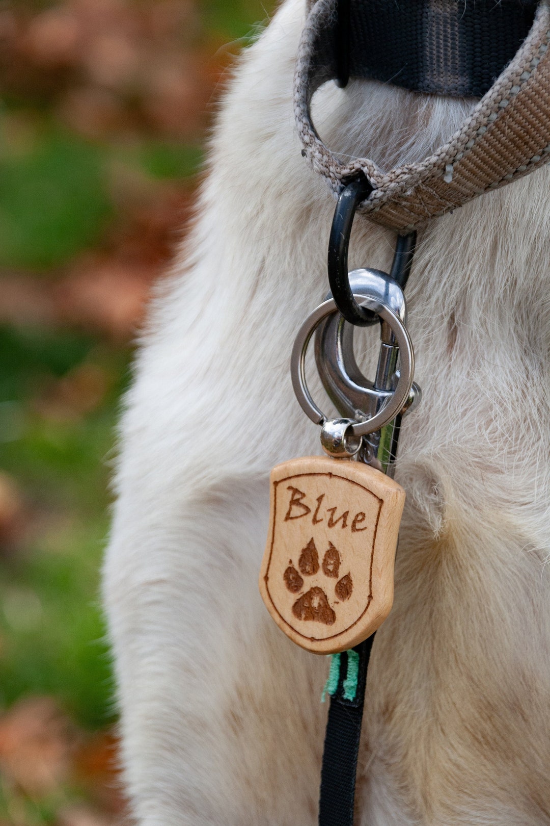 Dog Tags D20 Shield and Square Custom Laser Engraved Wooden Tag - Etsy