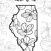 Illinois State Adult Coloring Sheet Featuring the State Flower (violet ...