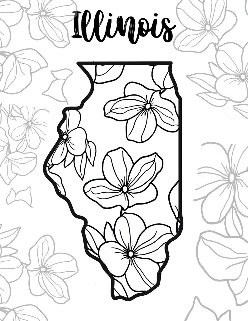 Illinois State Adult Coloring Sheet Featuring the State Flower (violet ...