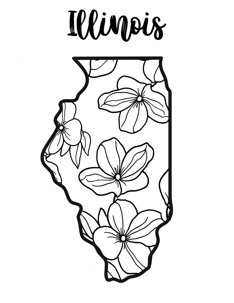 Illinois State Adult Coloring Sheet Featuring the State Flower (violet ...
