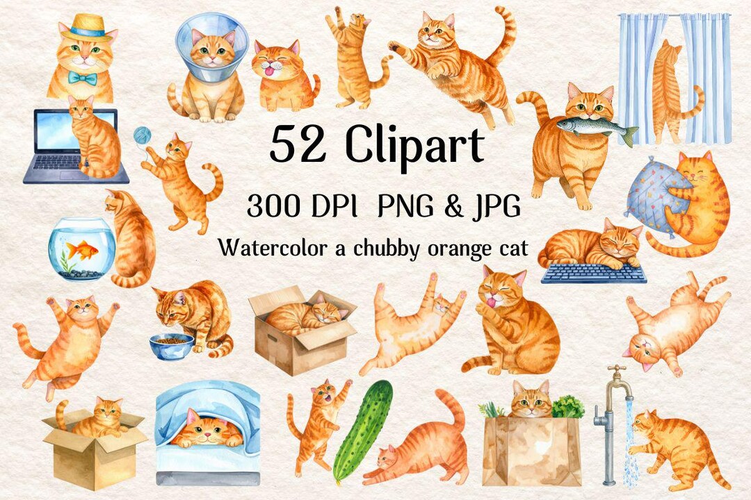 Watercolor Orange Cat Clipart Set: Funny Cozy Poses (PNG + JPG) - Etsy