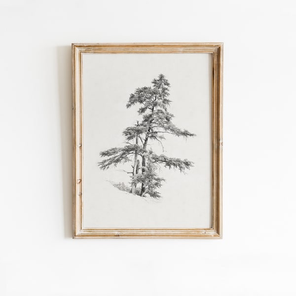 Tree Drawing - Etsy