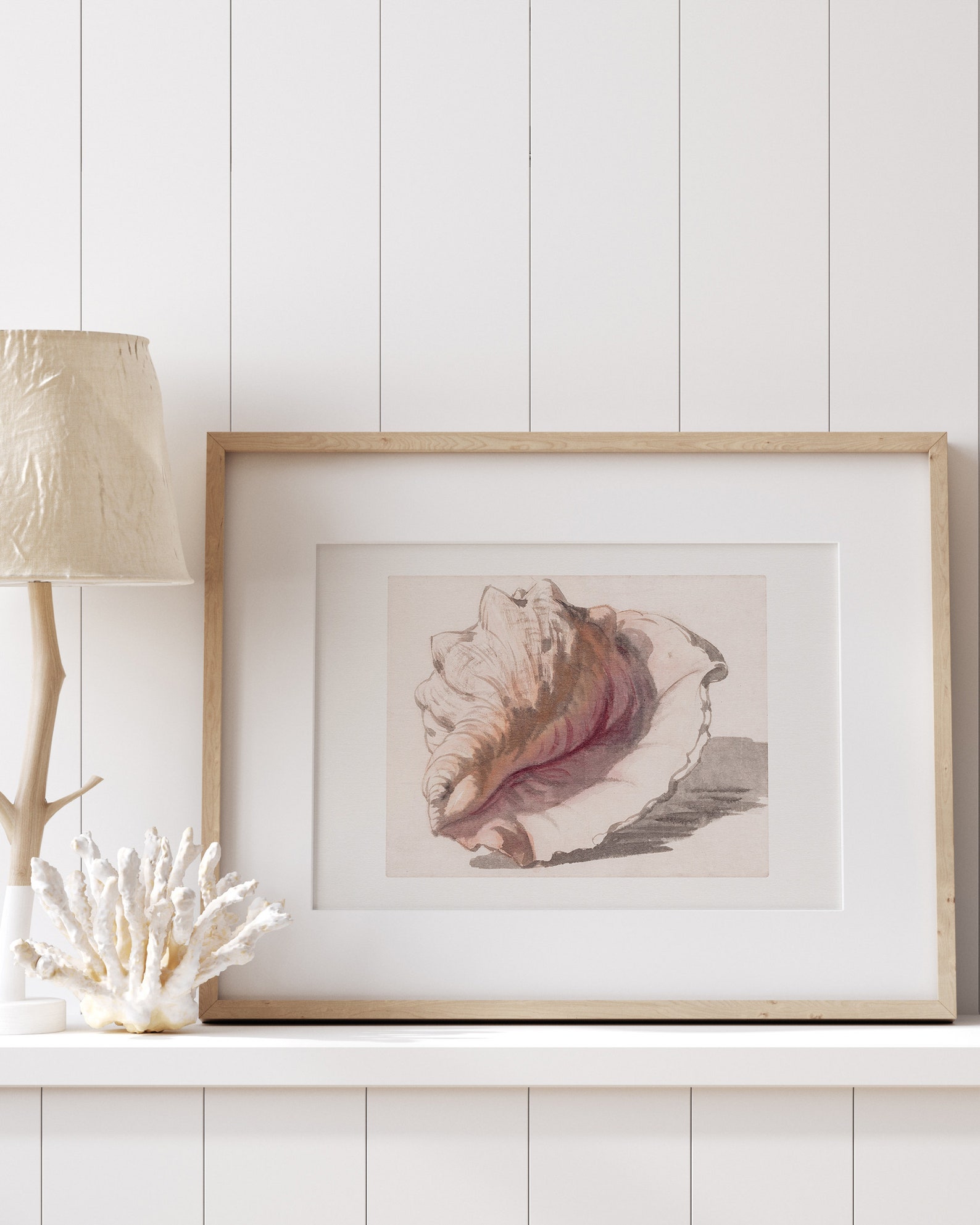 Antique Conch Shell Watercolor Painting, Decorative Seashell Art Print ...