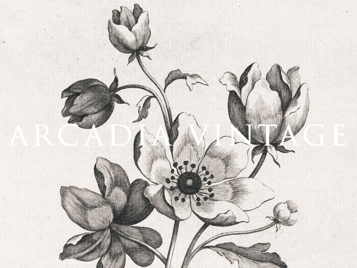 PRINTABLE ART Vintage Floral Etching Country Flowers Wall - Etsy