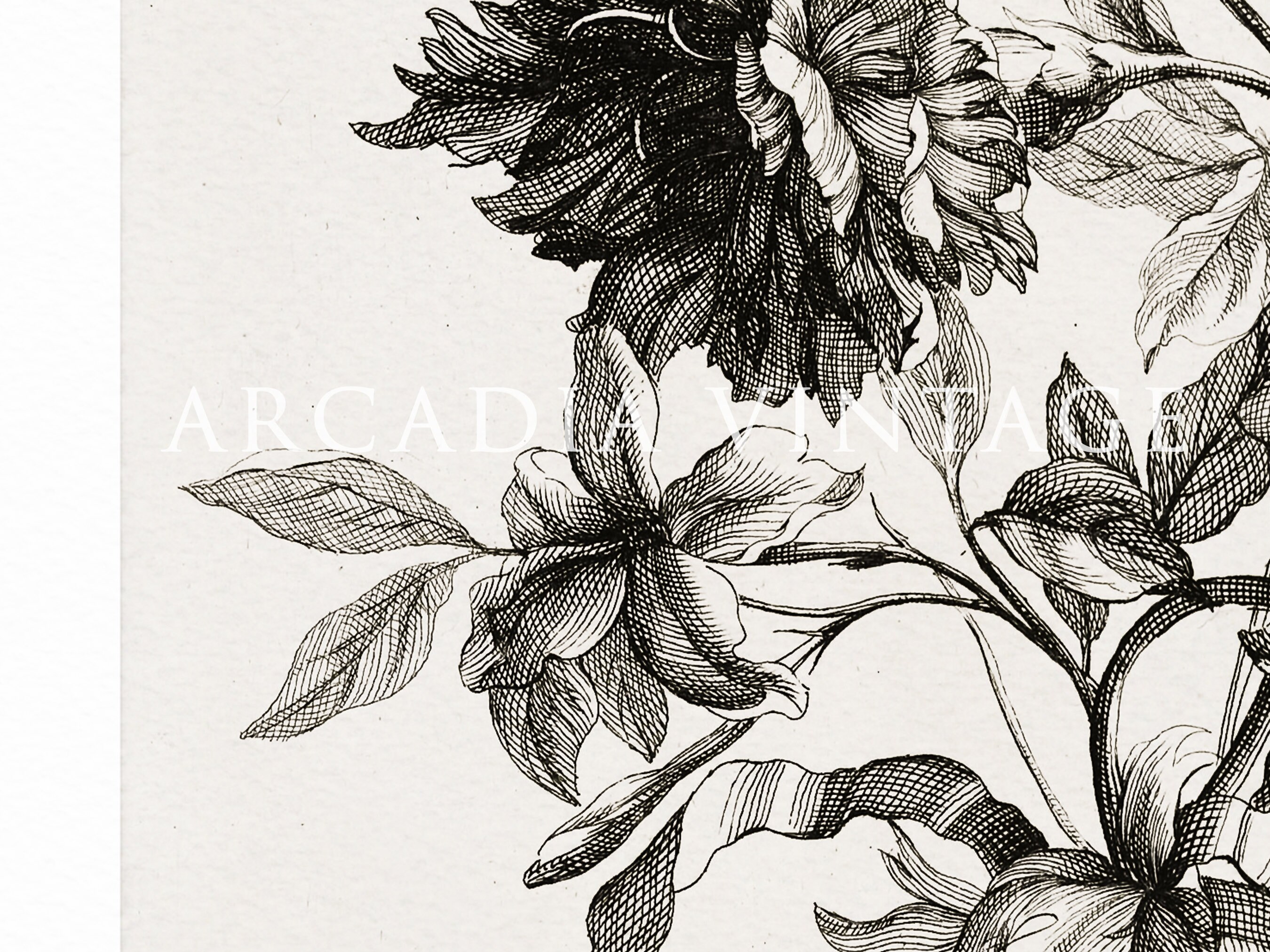 Vintage Flower Etching Gallery Wall Print SET of Four - Etsy