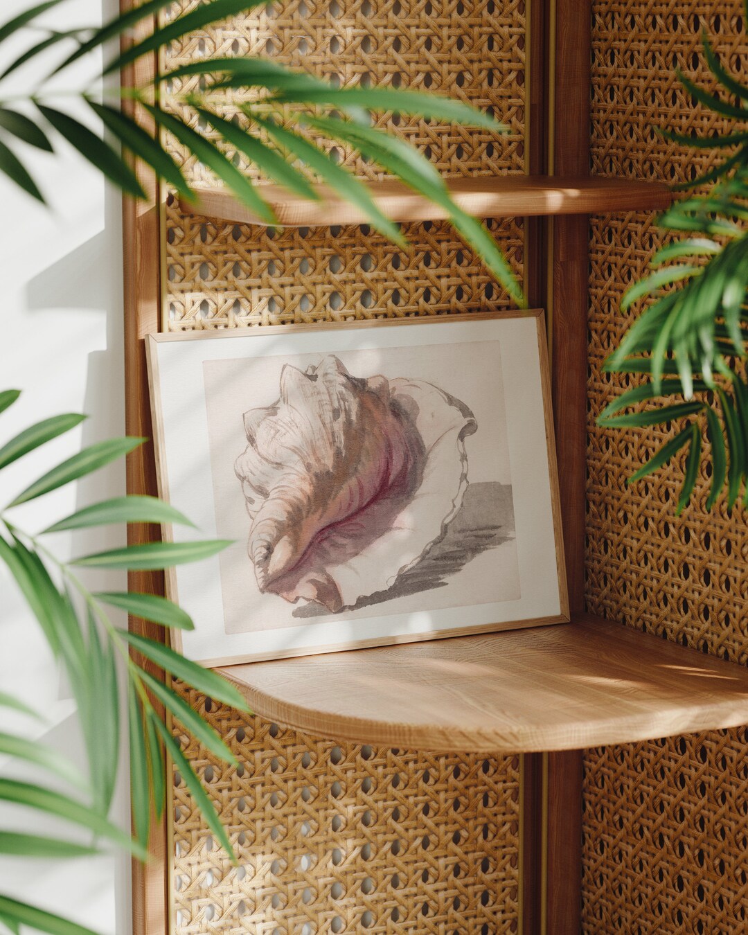 Antique Conch Shell Watercolor Painting, Decorative Seashell Art Print ...