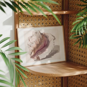 Antique Conch Shell Watercolor Painting, Decorative Seashell Art Print, Beachy Art, Boho Beach ...