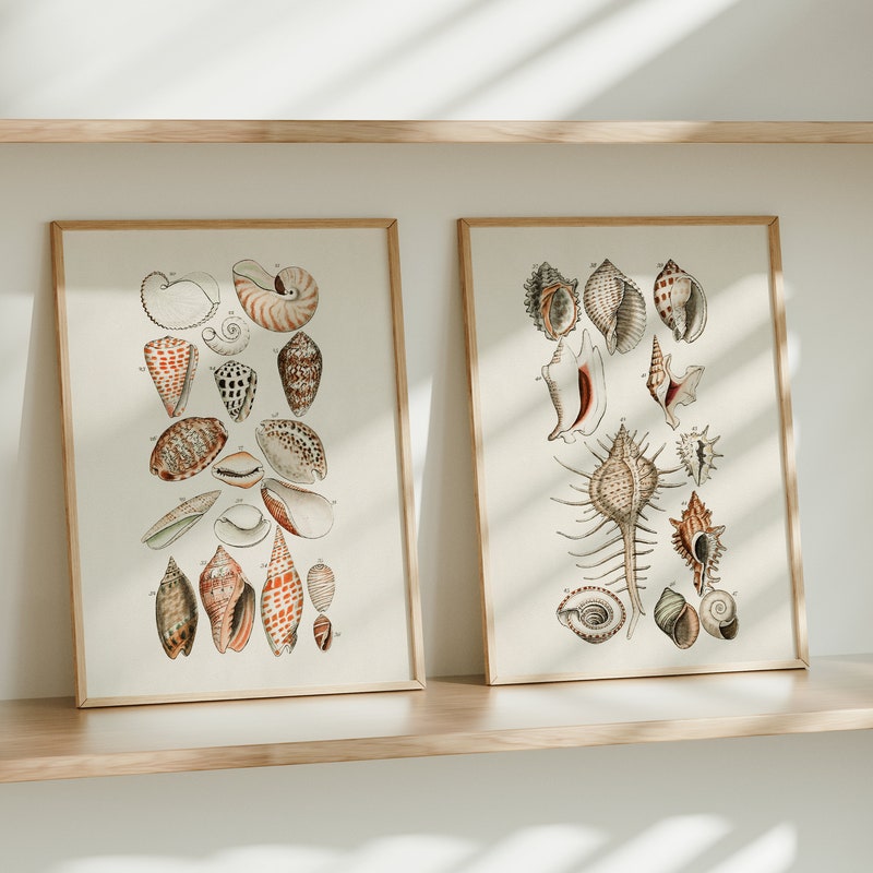 Shell Artwork - Etsy