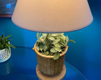 Cottagecore Table Lamp - Etsy