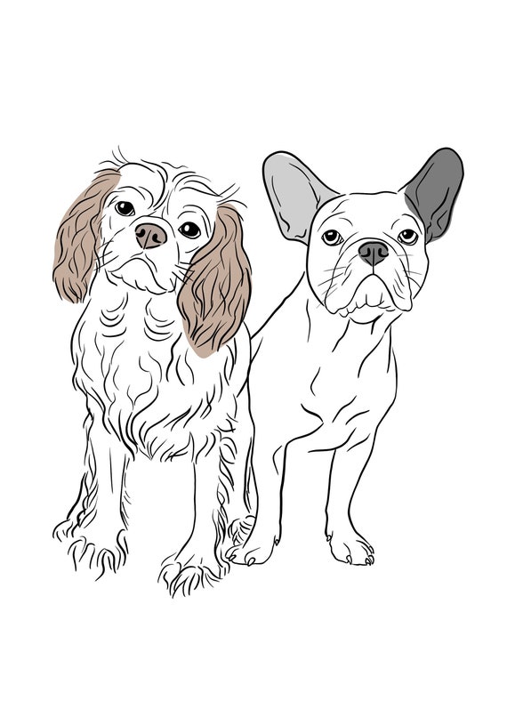 Pet Line Drawing Pet Illustration From Photo Pet - Etsy Canada