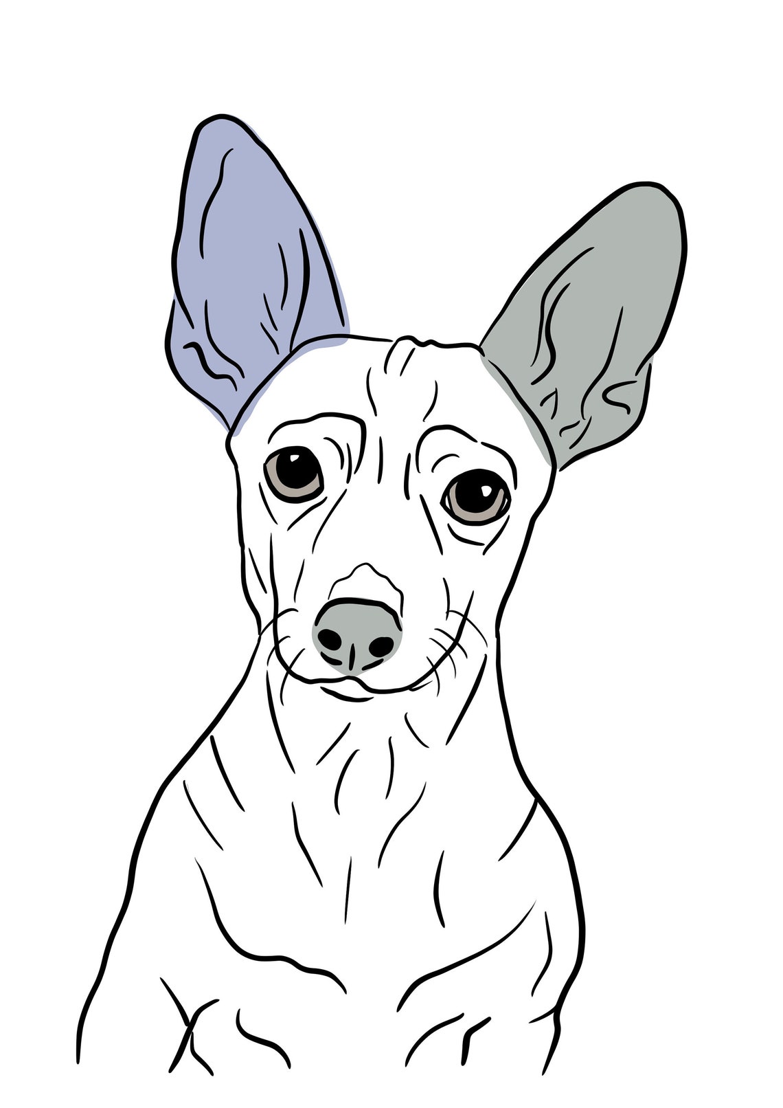 Pet Line Drawing Pet Illustration From Photo Pet - Etsy Canada