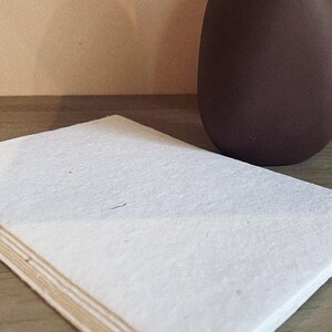 Plantable Seed Paper, Set of 10, Seeded Paper, A6 , Pack of 10, 250 GSM ...