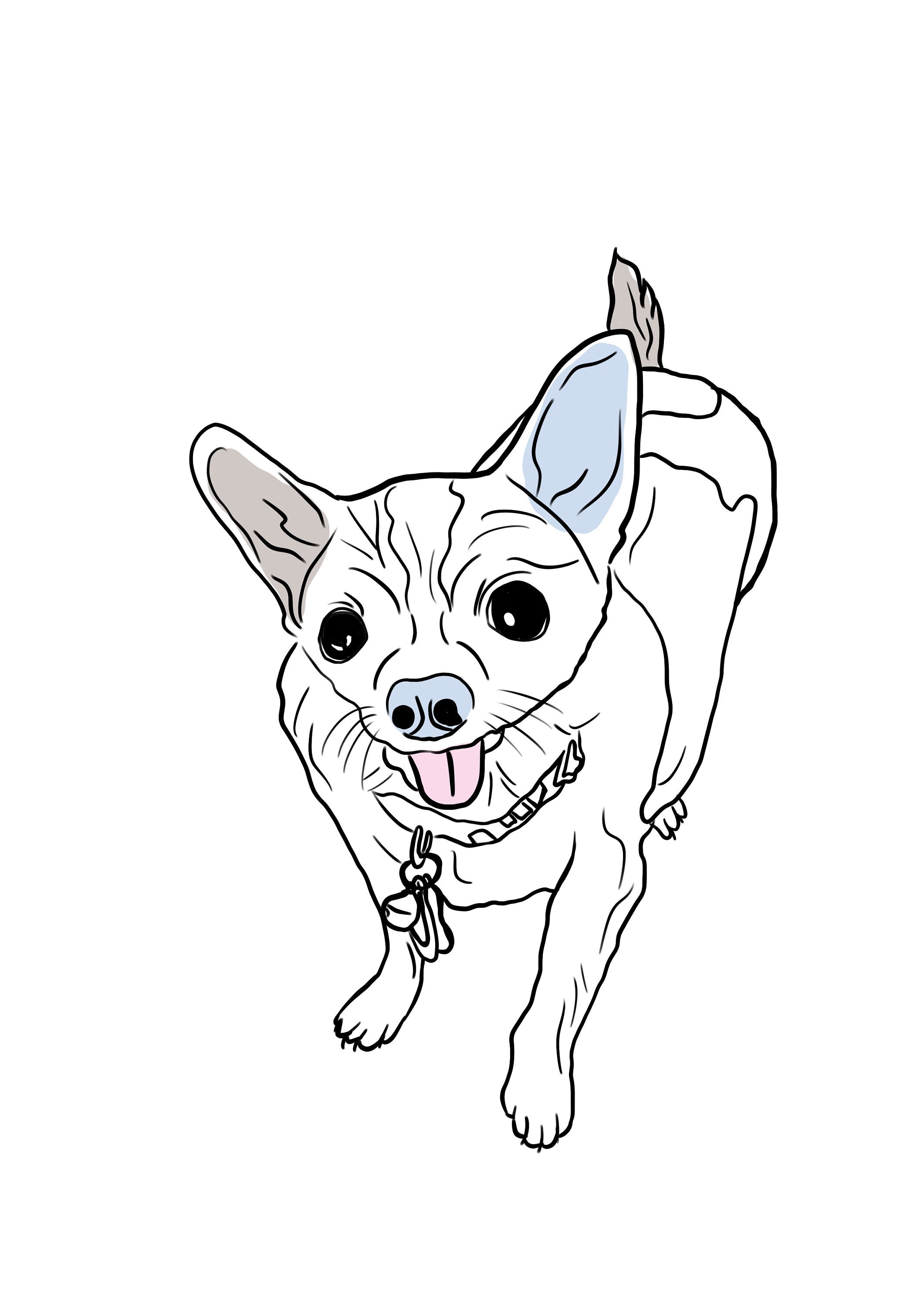 Pet Line Drawing Pet Illustration From Photo Pet - Etsy Canada