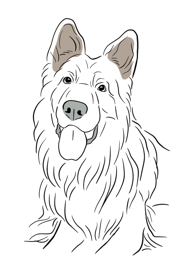 Pet Line Drawing Pet Illustration From Photo Pet - Etsy Canada