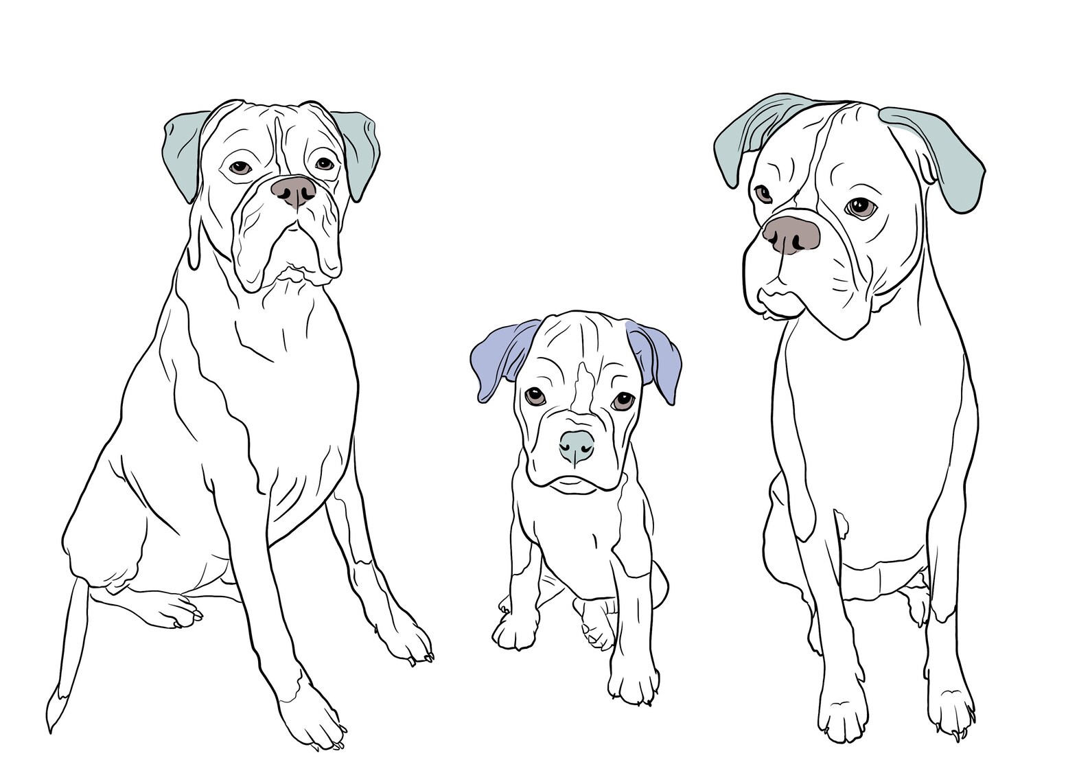 Pet Line Drawing Pet Illustration From Photo Pet - Etsy Canada