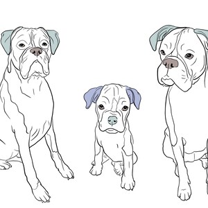 Pet Line Drawing Pet Illustration From Photo Pet - Etsy Canada