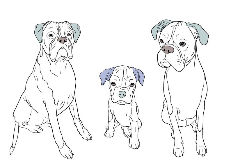 Pet Line Drawing Pet Illustration From Photo Pet - Etsy Canada