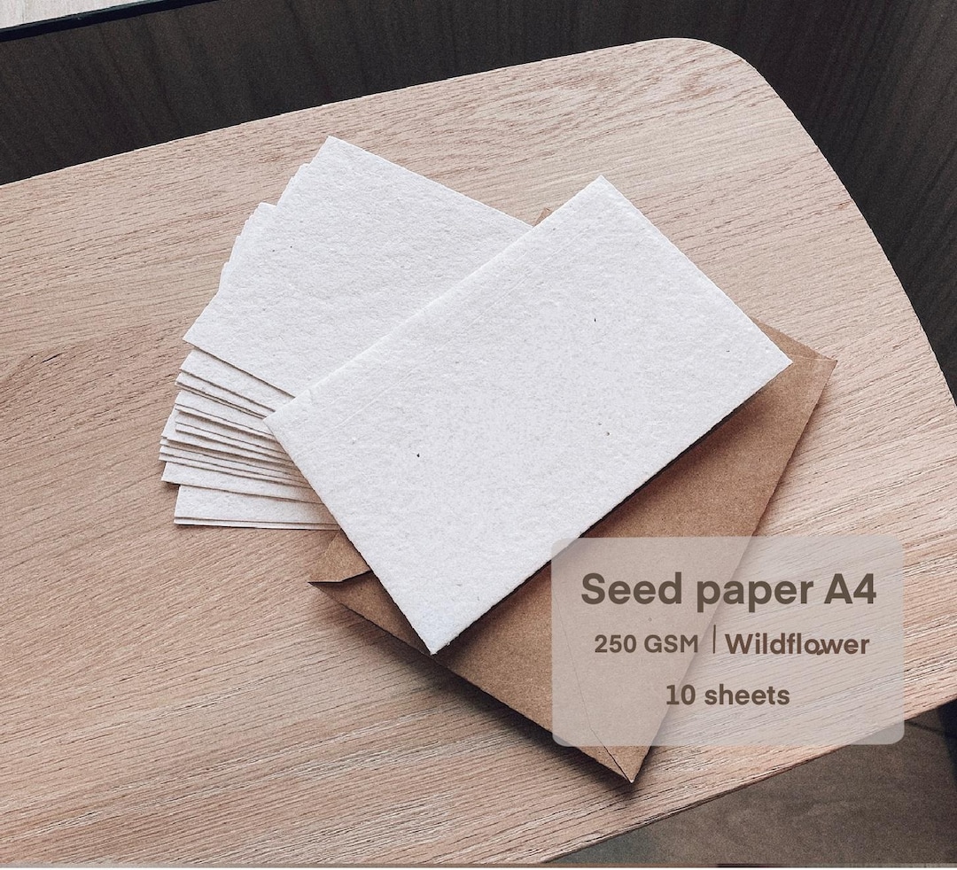 Plantable Seed Paper, Set of 10, Seeded Paper, A4 , Pack of 10, 250 GSM ...