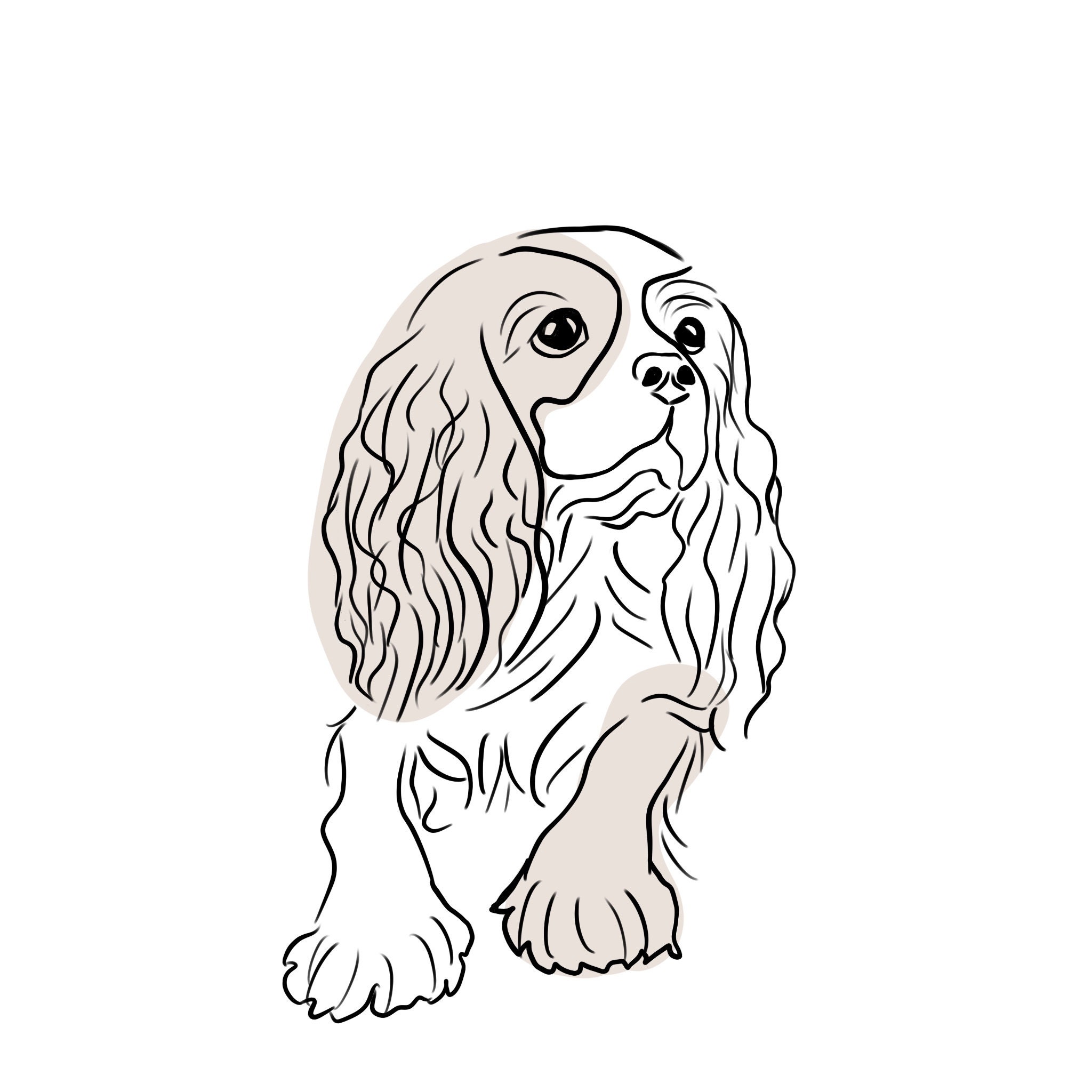 Pet Line Drawing Pet Illustration From Photo Pet - Etsy Canada