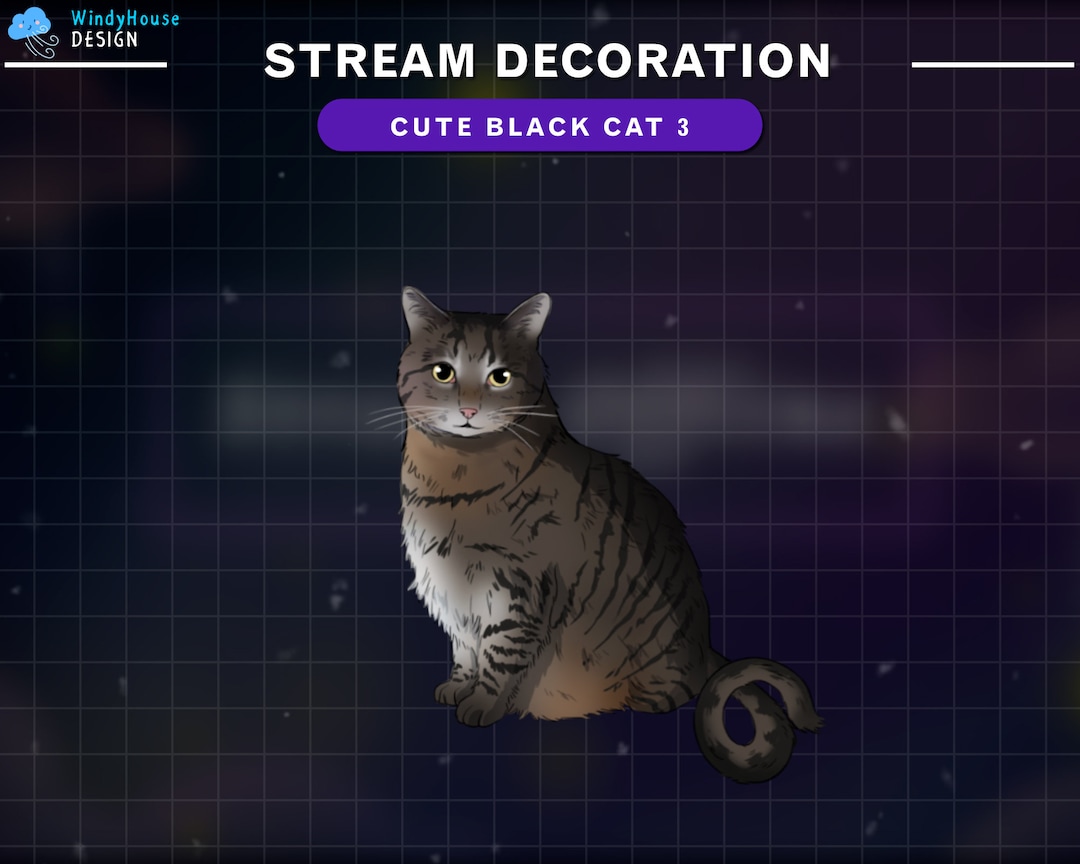 Animated Black Cat Stream Decoration, Black Cat Twitch Overlay, Animals ...