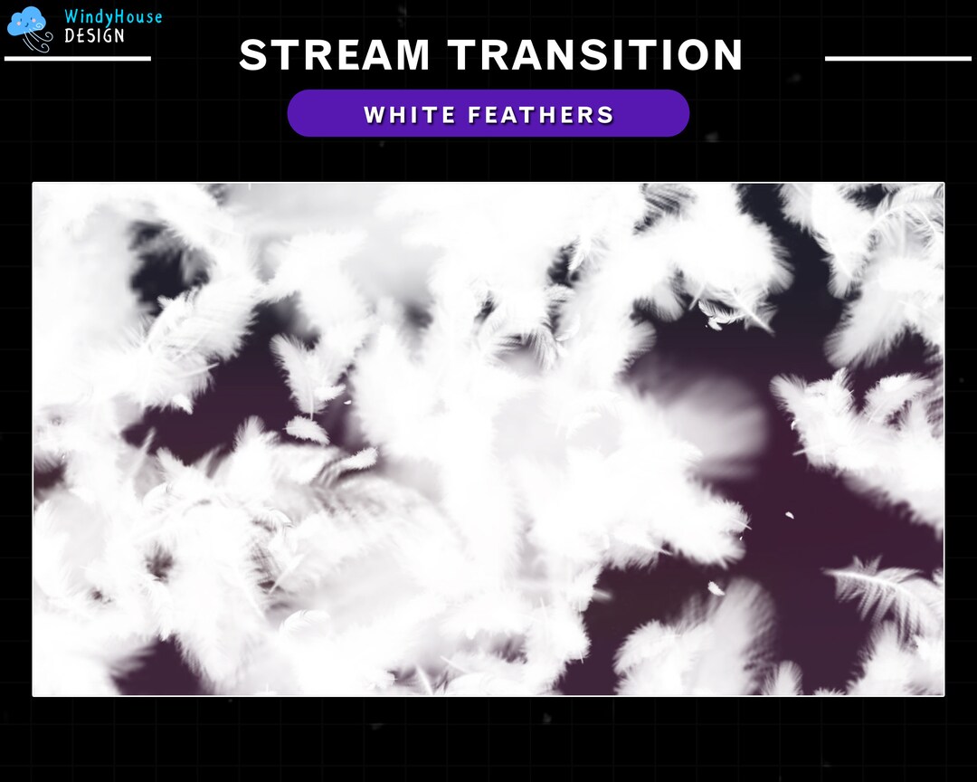 2x White Feathers Stream Transition, Feathers Transition, Feathers ...