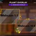 Animated Plant Webcam Overlay - Etsy