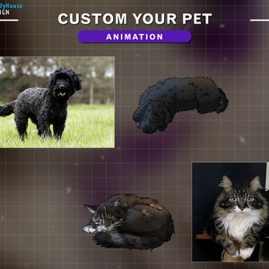 Custom Your Pet Animation, Cat Twitch, Dog Twitch, Animals Decoration ...