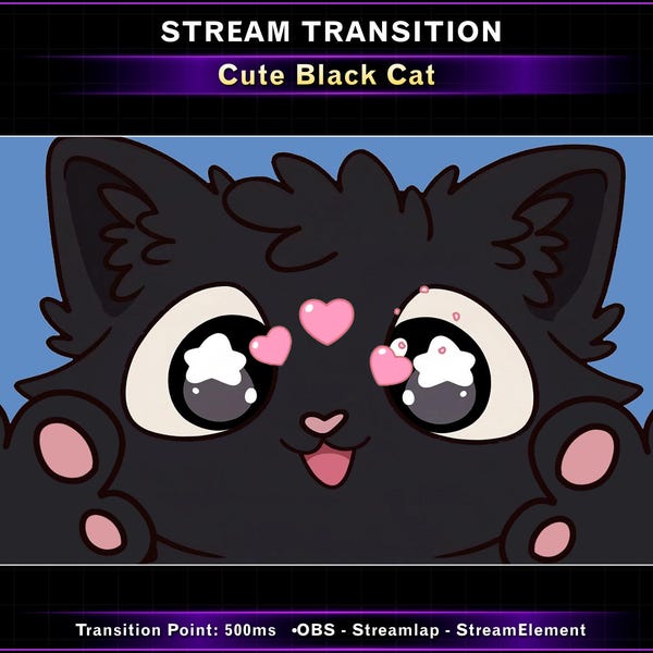 Cats Obs Transition - Etsy