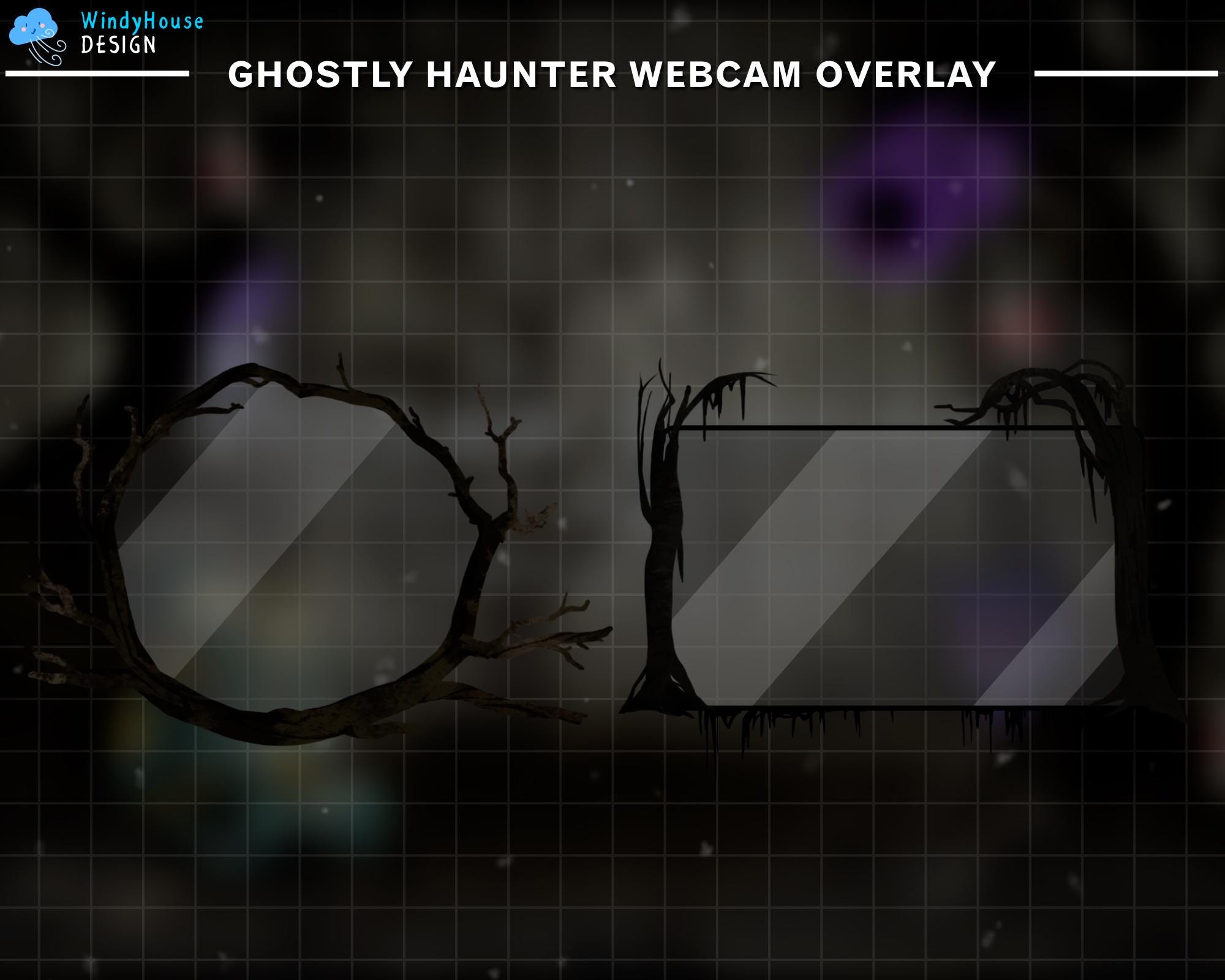 Animated Ghostly Webcam Borders, Haunted Horror Overlay for Spooky ...