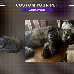 Custom Your Pet Animation, Cat Twitch, Dog Twitch, Animals Decoration ...