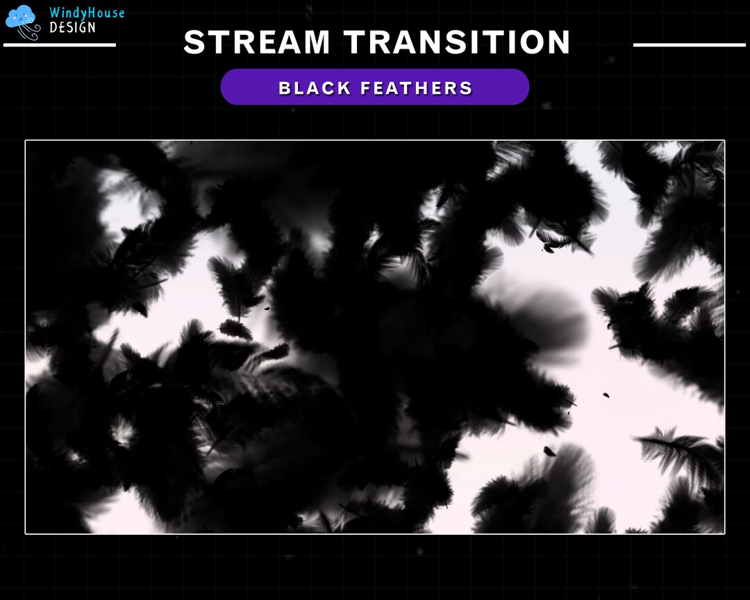 2x Black Feathers Stream Transition, Feathers Transition, Feathers ...