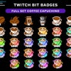 30x Gems Stone Twitch Bit Badges / Complete Twitch Bit Badges Set ...