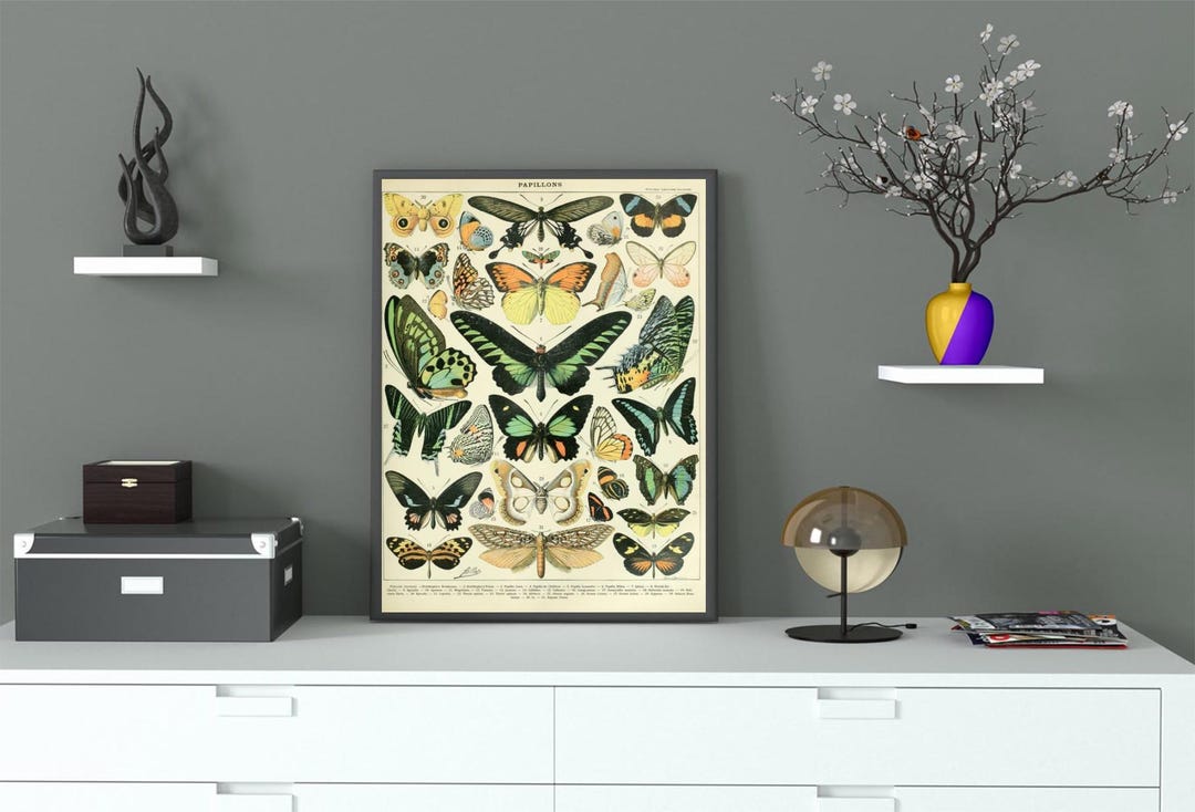 Papillons Poster, Types of Butterfly, Poster Decor - Etsy