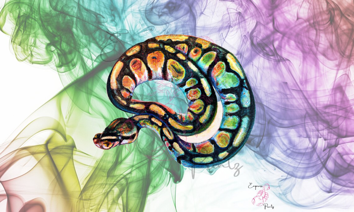 Rainbow Watercolor Ball Python SVG/PNG Digital Download - Etsy