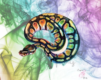 Black Widow SVG/PNG Digital Download - Etsy