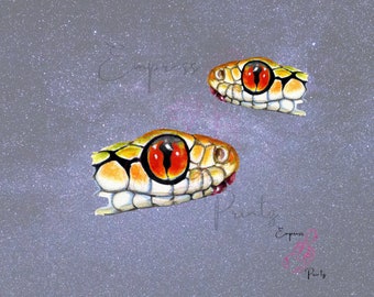 Leopard Gecko SVG/PNG Digital Download - Etsy