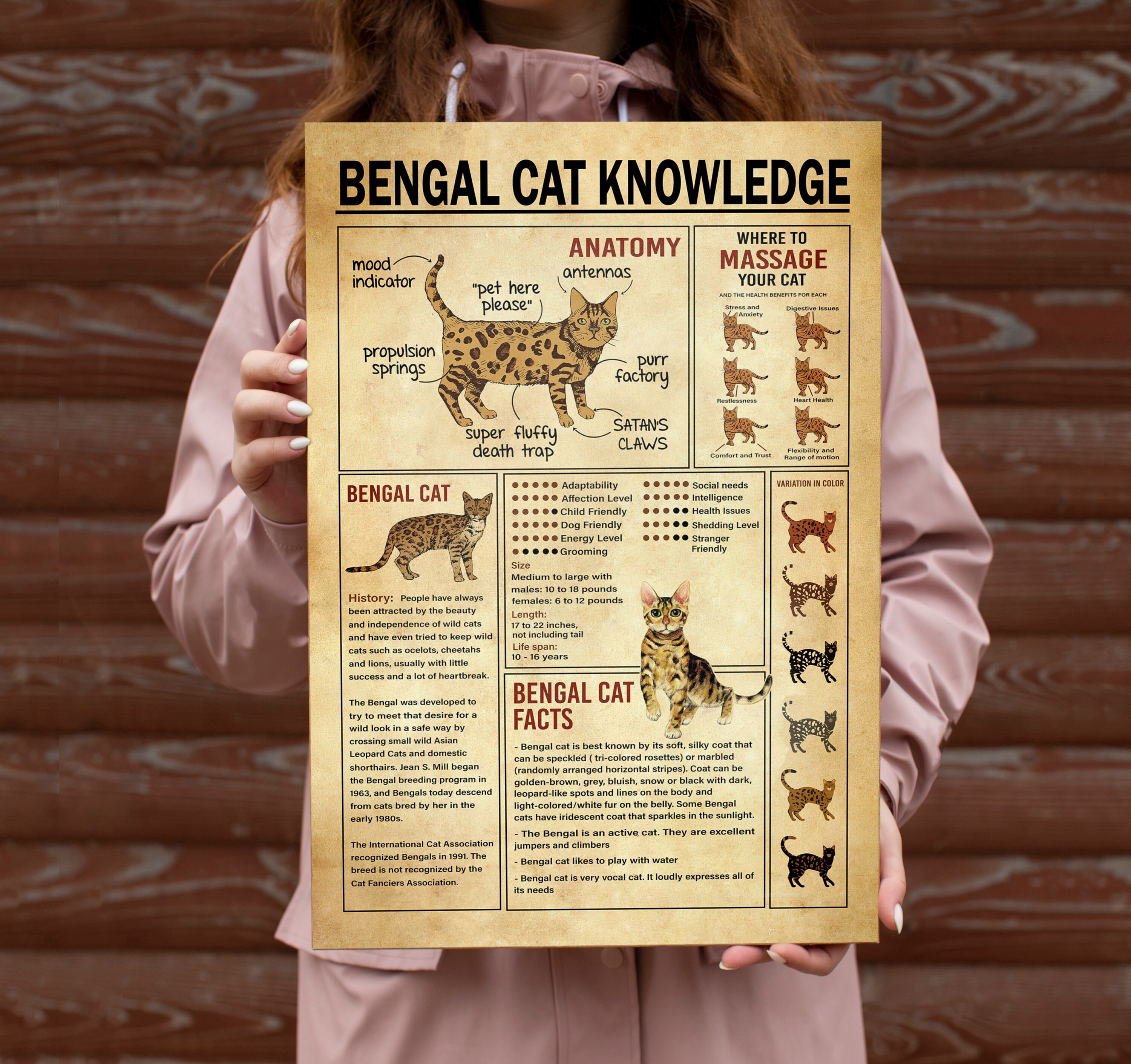 Bengal Cat Knowledge Poster Anatomy of Bengal Cat Vintage - Etsy Canada