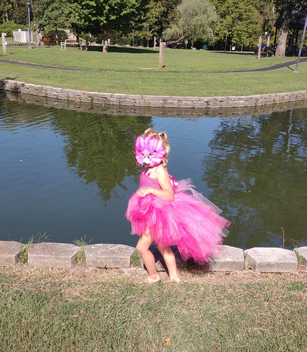 Girls Flamingo Costume Dress (please Read Details) - Etsy