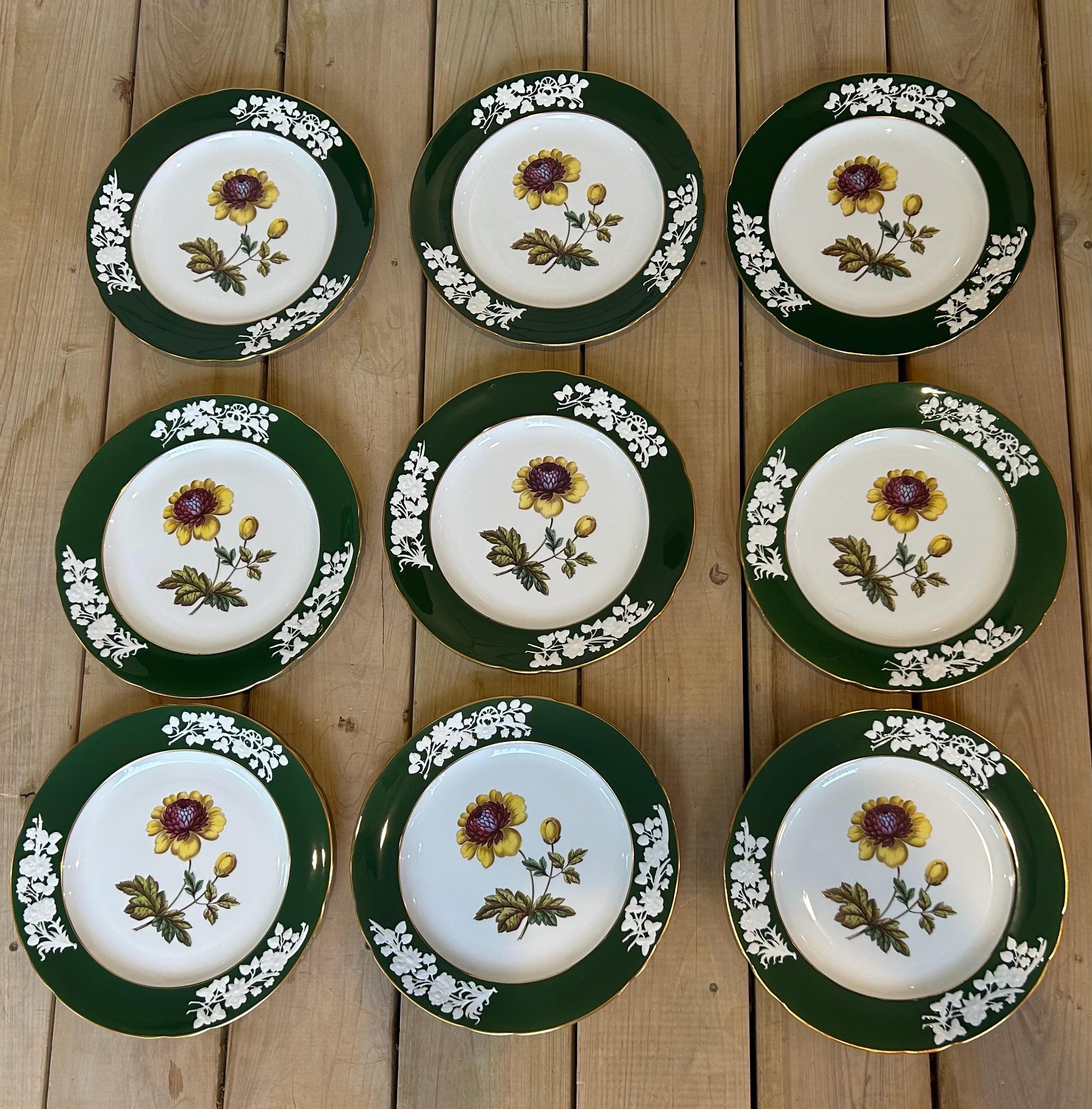 RARE Vintage Spode Anemone Rose Narcissus Lady Blessington Green Bone ...