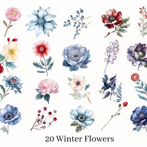 Seasonal Watercolor Flower Clipart Bundle, PNG Files, SVG Files, Spring ...
