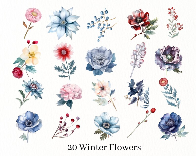 Seasonal Watercolor Flower Clipart Bundle PNG Digital Files - Etsy