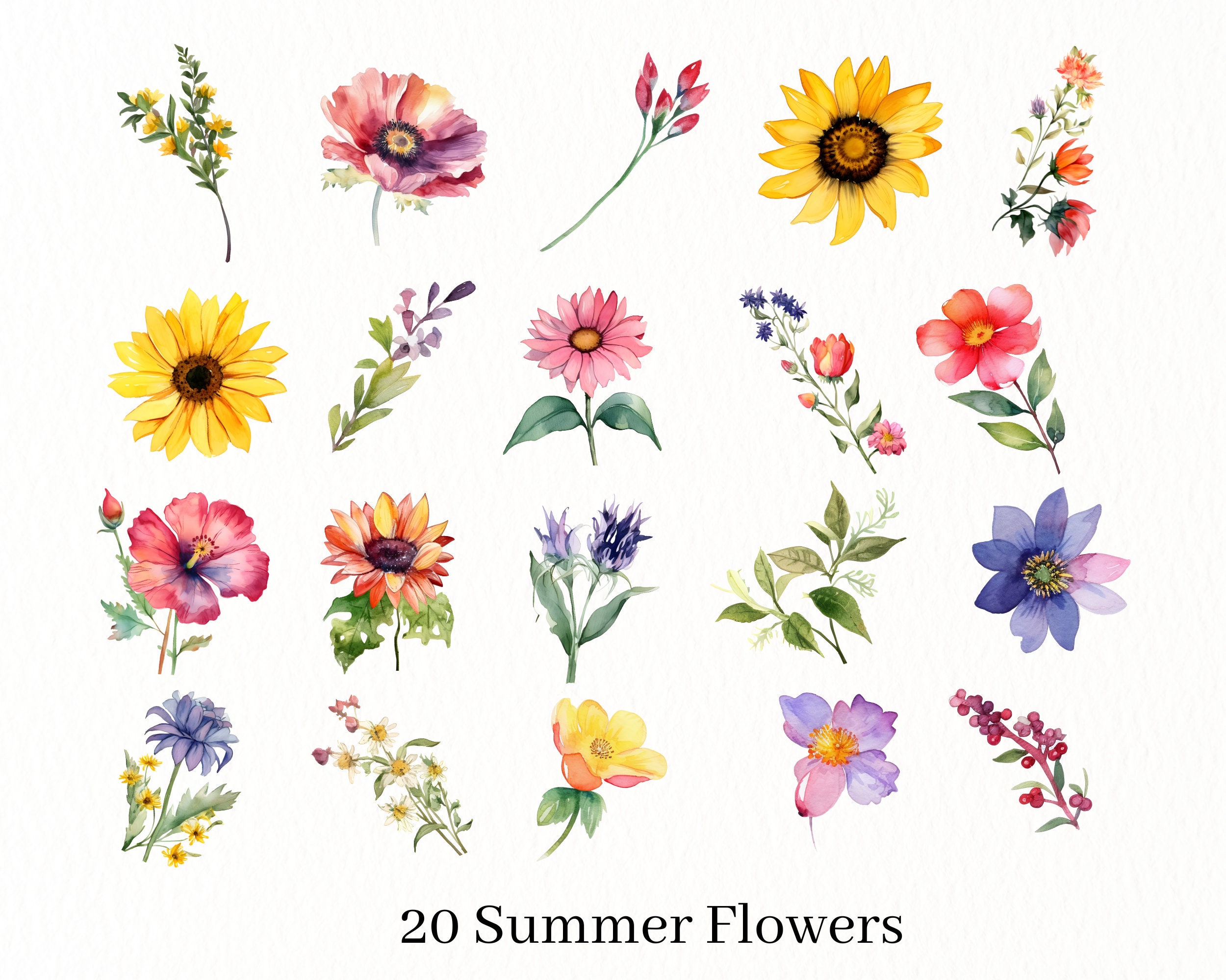 Watercolor Summer Flowers Mega Clipart Bundle, Watercolor Summer ...