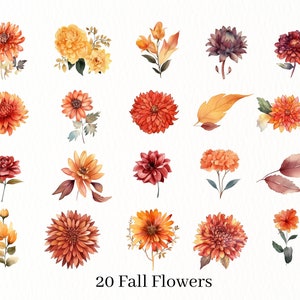 Seasonal Watercolor Flower Clipart Bundle, PNG Files, SVG Files, Spring ...