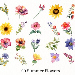Summer Watercolor Flower Clipart Bundle, PNG & SVG (digital Download ...